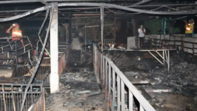 អគ្គិភ័យឆេះនៅកសិដ្ឋានចិញ្ជឹមជ្រូកដ៏ធំមួយ ក្នុងខេត្ត Buri Ram - TNAOT